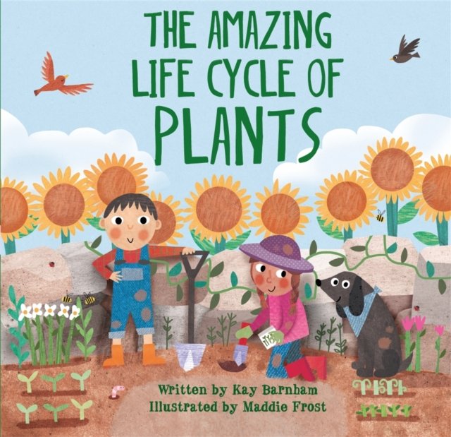 Life Cycles: Best Children's Books - Bookshop.org