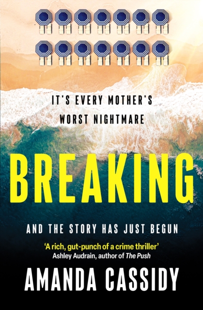 Breaking a book by Amanda Cassidy - Bookshop.org UK