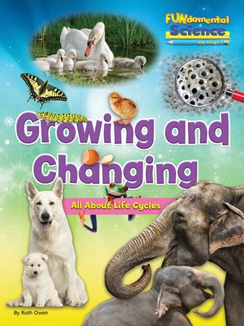 Life Cycles: Best Children's Books - Bookshop.org