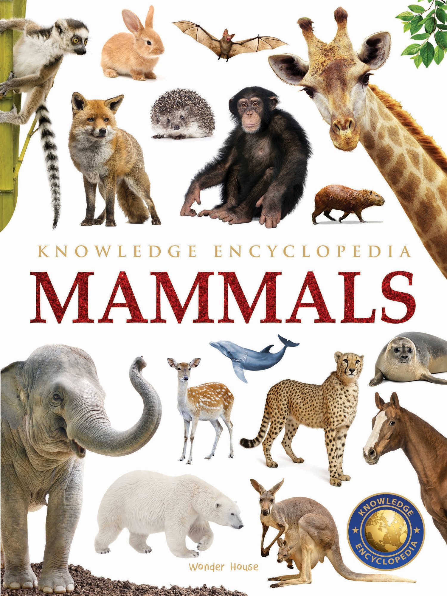 Animals - Mammals : Knowledge Encyclopedia For Children a book by ...